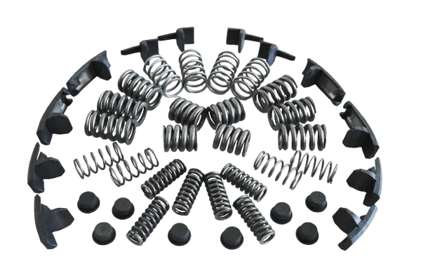 DCT450/MPS6 Clutch Springs &Flywheel Retainers Kit – Sussex Autos